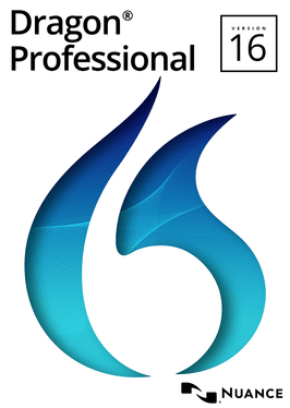 Dragon Professional 16
